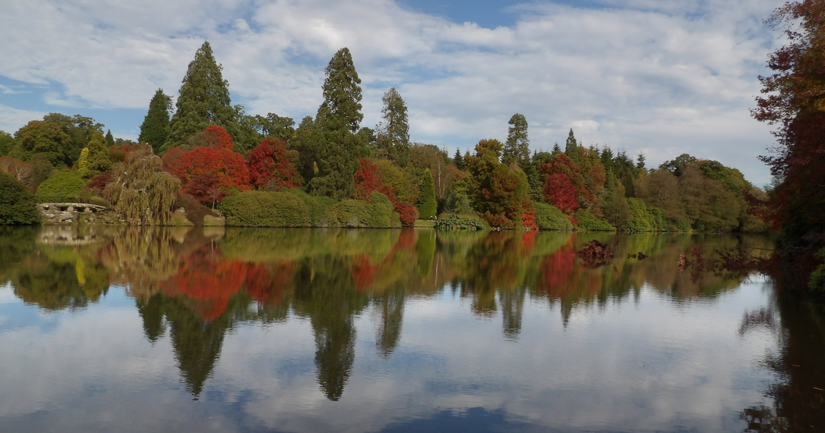 Shadows and Reflections revisited | Marek's Moths