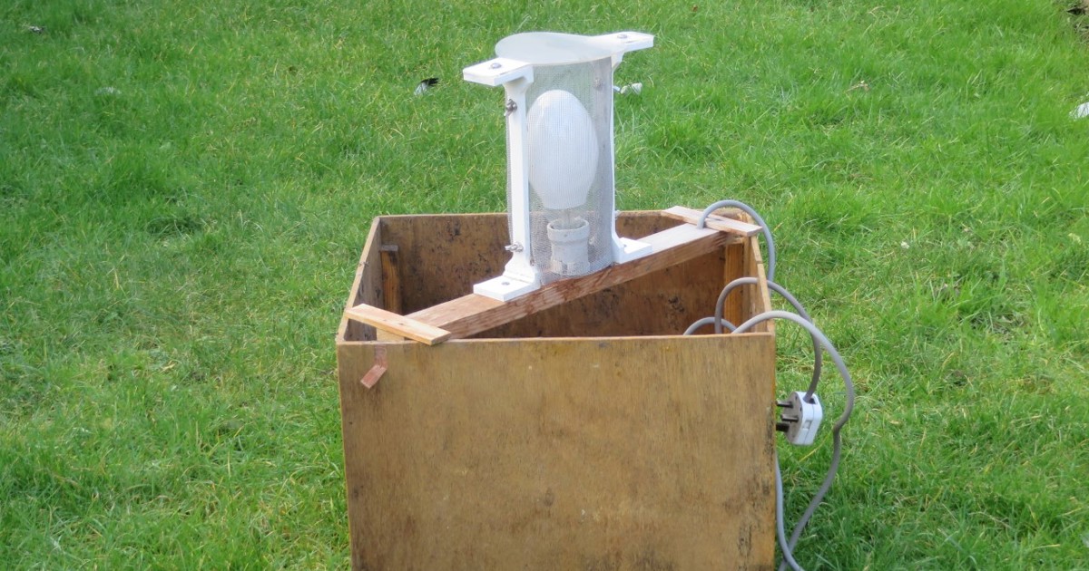 Trap Introduction | Marek's Moths